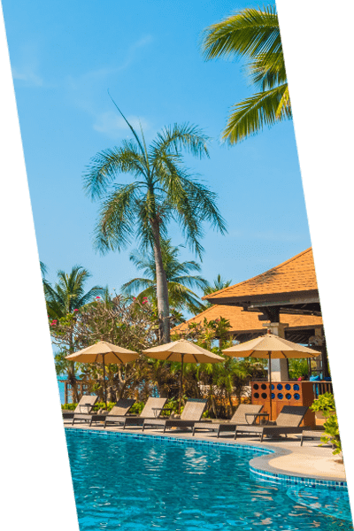 Premium Distribution